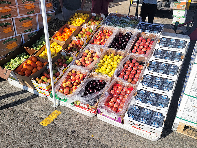 Fruit so fresh it practically introduces itself. These aren't your supermarket's pallid cousins—they're the real deal, bursting with Florida sunshine.