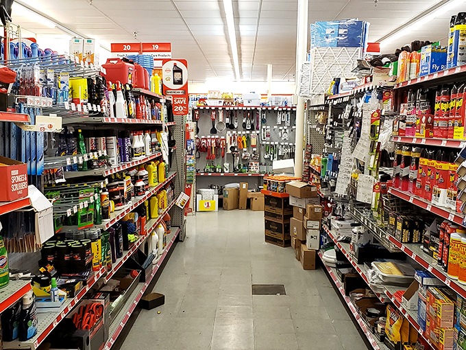 The household essentials aisle – where cleaning products stand ready to battle whatever mess your family has ingeniously created this week.