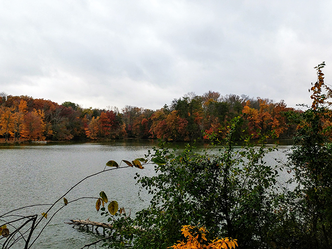 Fall foliage reflecting on Scales Lake creates nature's perfect mirror—no Instagram filter required to make this scene pop.