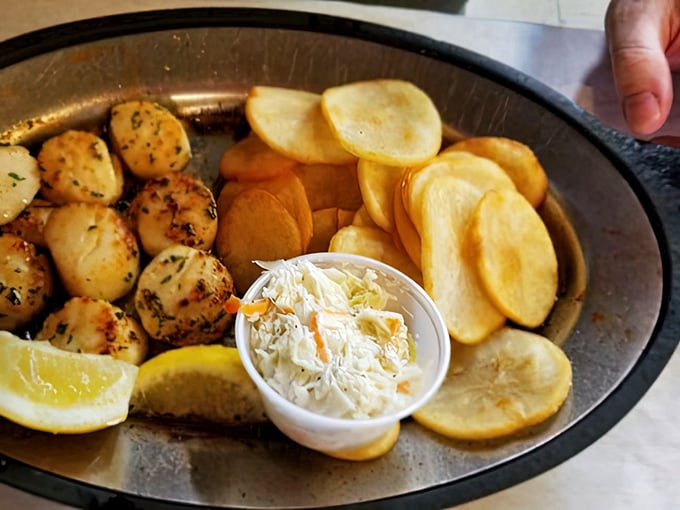These seared scallops aren't just cooked—they're respected. Golden-brown exteriors hiding sweet, tender centers, served alongside homemade chips and a dollop of fresh slaw.