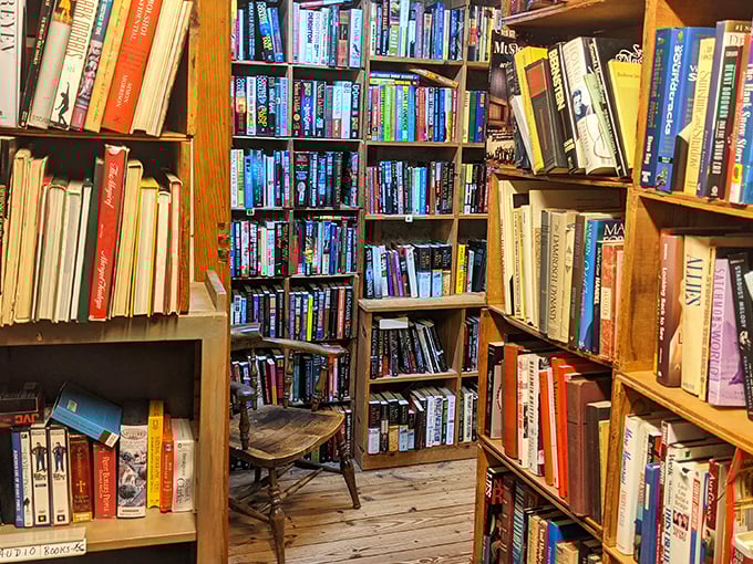 Wooden shelves stretch toward hidden corners, creating those perfect "just one more aisle" moments that turn quick visits into afternoon-long adventures.