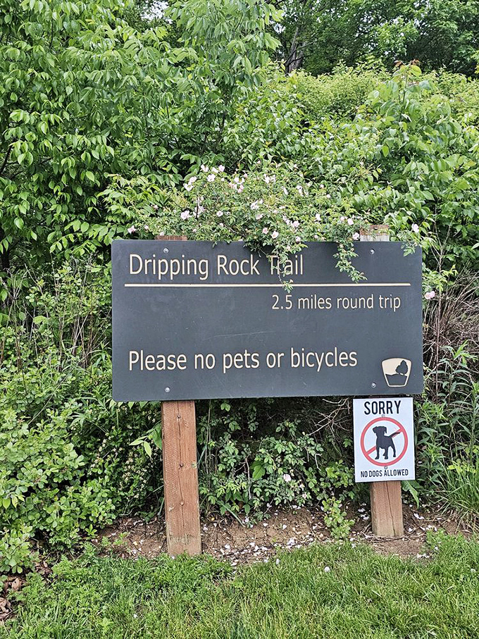 This trail marker doesn't just give directions—it's an invitation to discover what "dripping rock" actually means. Spoiler alert: it's wonderfully literal.
