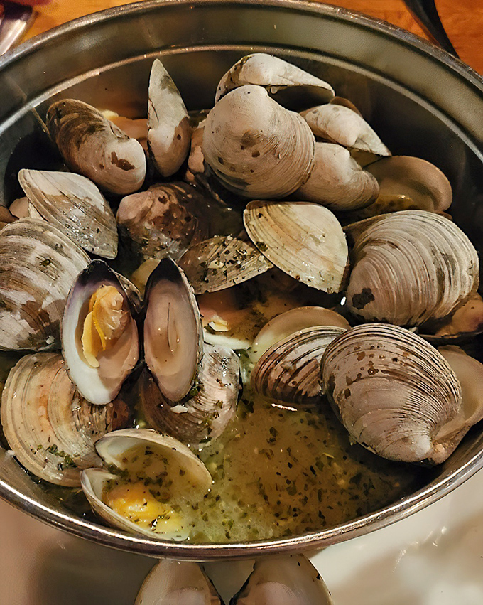 These steamed clams aren't just food—they're an event. Plump, briny treasures bathing in their natural juices, waiting for their butter baptism.