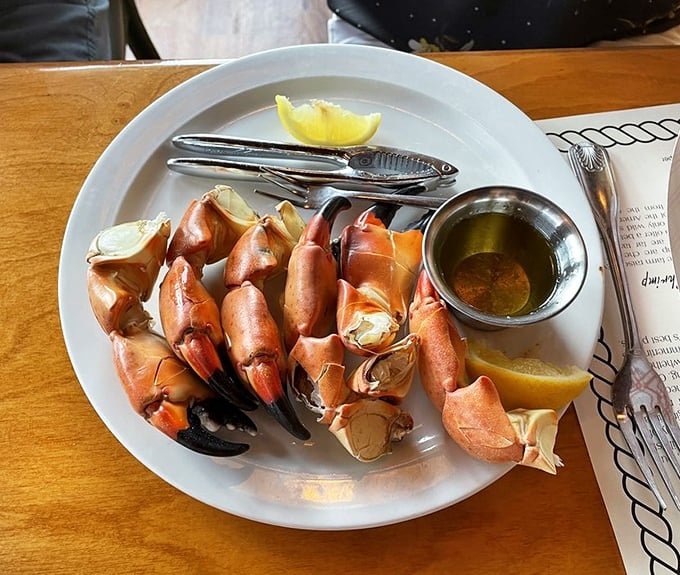 Stone crab claws—nature's perfect finger food. Served with that signature mustard sauce, they're Florida's answer to lobster's fancy reputation.