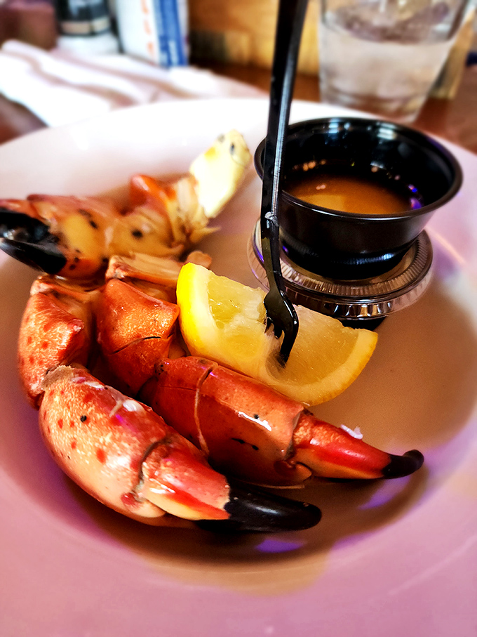 Stone crab claws served with drawn butter—nature's perfect design for getting maximum flavor with minimal effort. Crack, dip, savor, repeat.