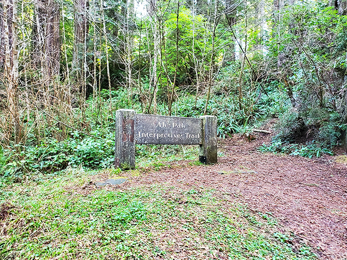 "This way to wonder" – trail markers in the park offer directions but can't prepare you for the magic waiting around each bend.