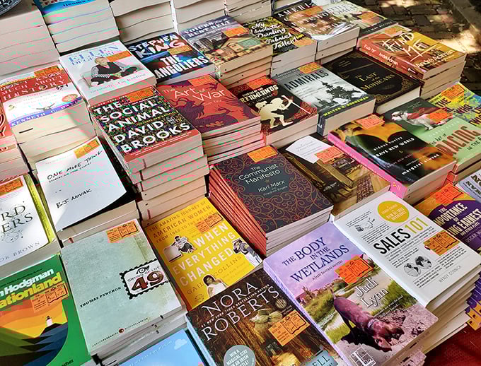 Book tetris at its finest—stacks so perfectly arranged you'd think they employed a Jenga champion as their display manager.