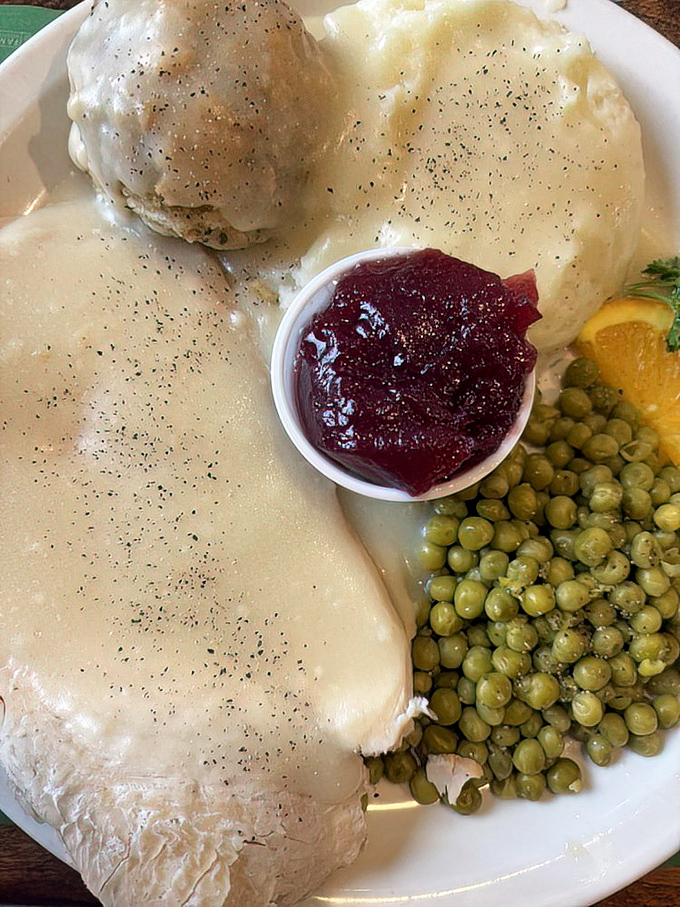 Turkey dinner that makes Thanksgiving jealous—tender slices bathed in gravy with a pop of cranberry brightness that cuts through the richness perfectly.