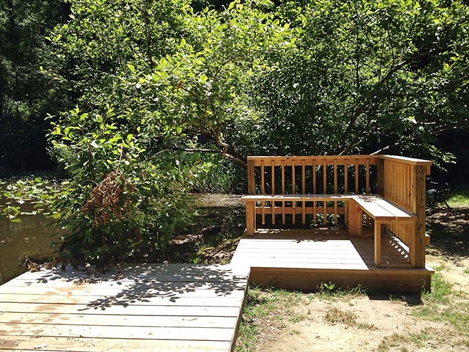 This wooden deck overlooking the water is nature's front-row seat – no tickets required, just bring your thoughts and stay awhile.