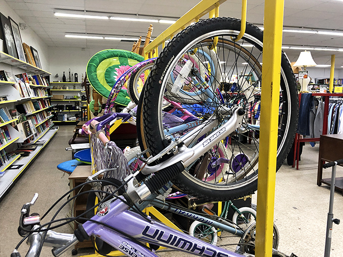Bicycle heaven for budget-conscious riders! That purple Olympia might have once carried someone to their first job or greatest adventure.