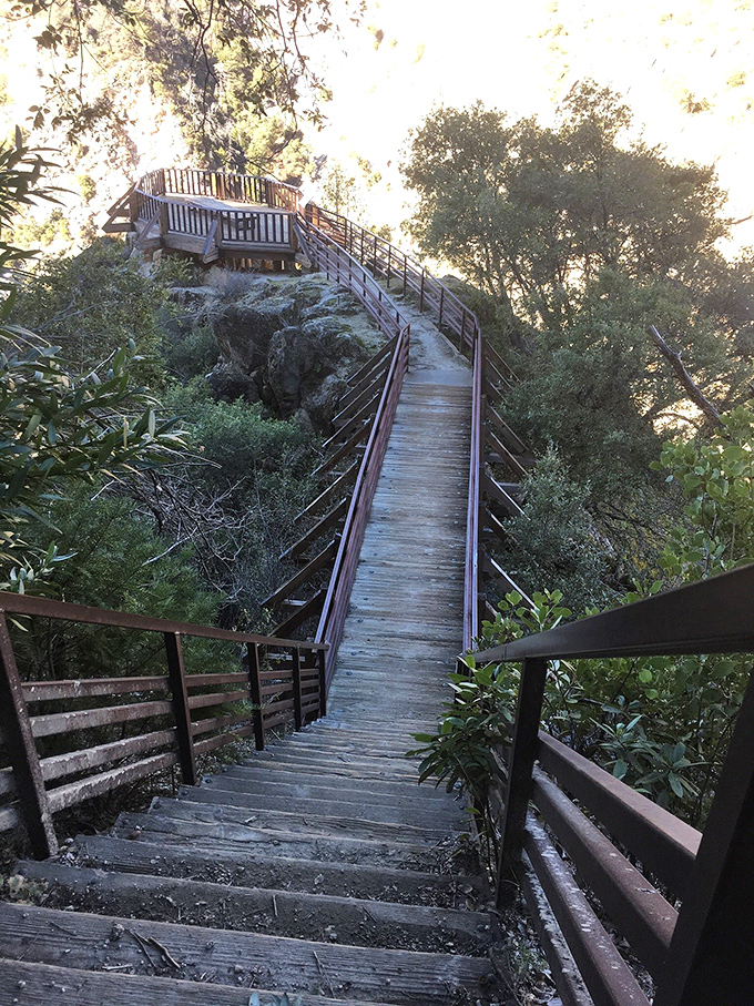 The boardwalk to paradise isn't in the Caribbean—it's right here in California, leading to one of the most spectacular viewing platforms imaginable.