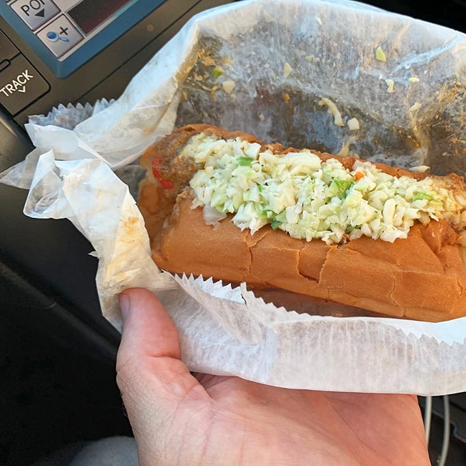 This isn't just a hot dog—it's a cultural artifact wrapped in paper, where every diced onion piece has found its perfect home.