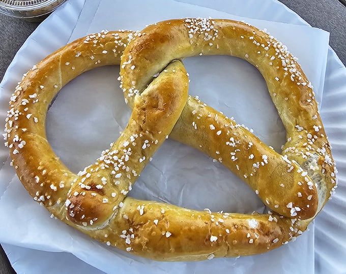 Golden-brown perfection with just the right amount of salt—this is what happens when centuries of Pennsylvania Dutch tradition meets modern-day hunger.