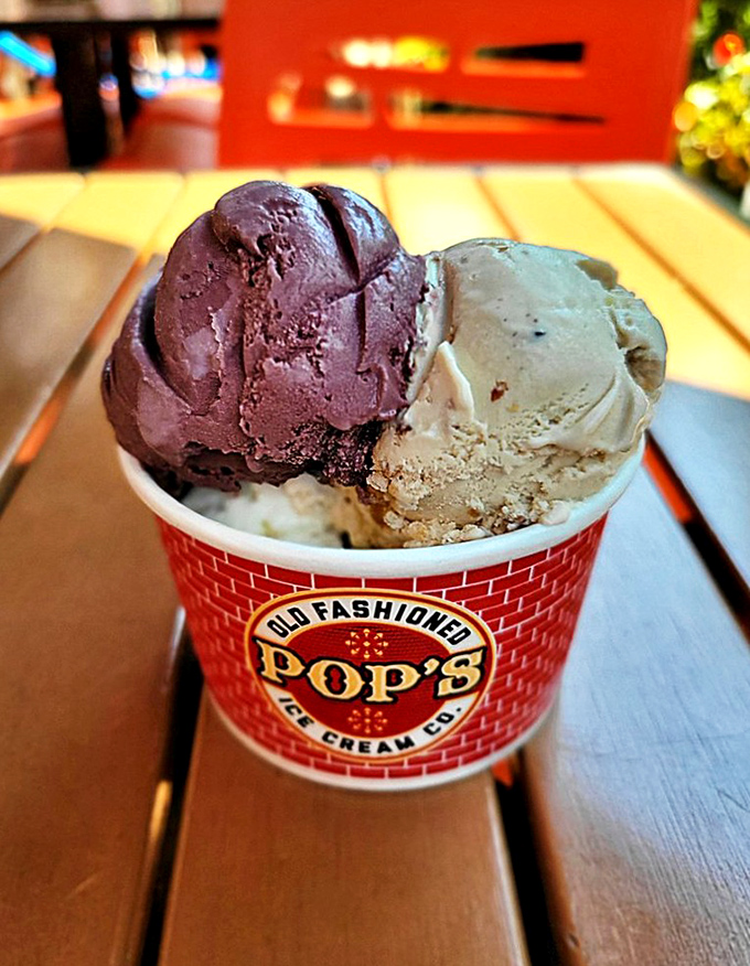 Two scoops of pure happiness in a cup emblazoned with nostalgia—chocolate and vanilla paired like the culinary equivalent of Astaire and Rogers.