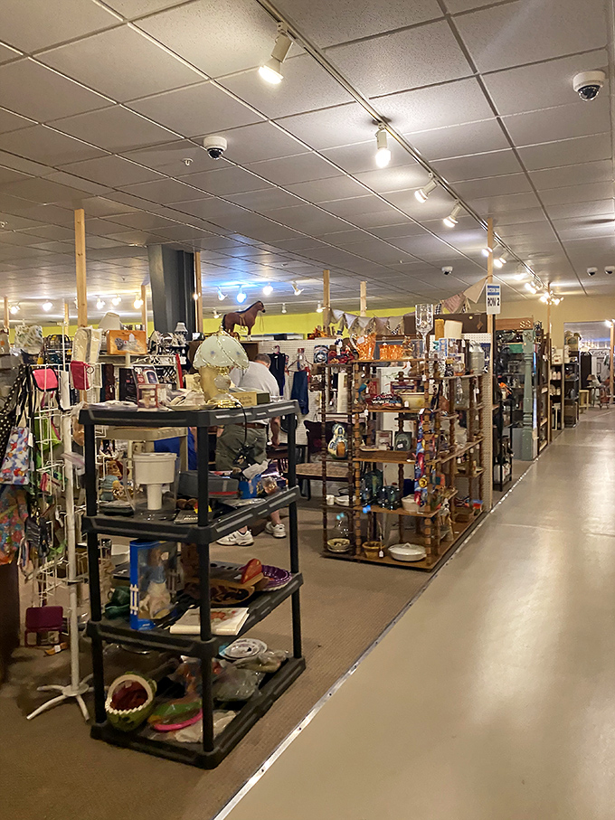 Aisles that stretch like Indiana highways, each shelf a neighborhood of possibilities. The thrill of the hunt is palpable in every corner.