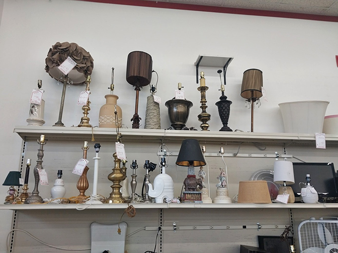 Lamp heaven! Like a museum of illumination history where you can actually take the exhibits home. That brass beauty is calling your name.