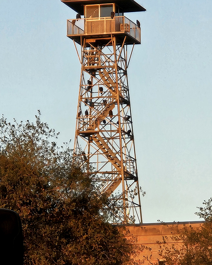 This watchtower wasn't just for show—it served as a constant reminder to residents that freedom was visible but just out of reach, a psychological barrier as effective as any wall.