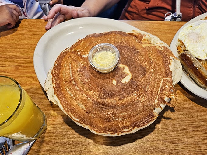 Behold the pancake in its natural habitat—golden-brown, perfectly round, with a puddle of melting butter crowning this breakfast royalty.