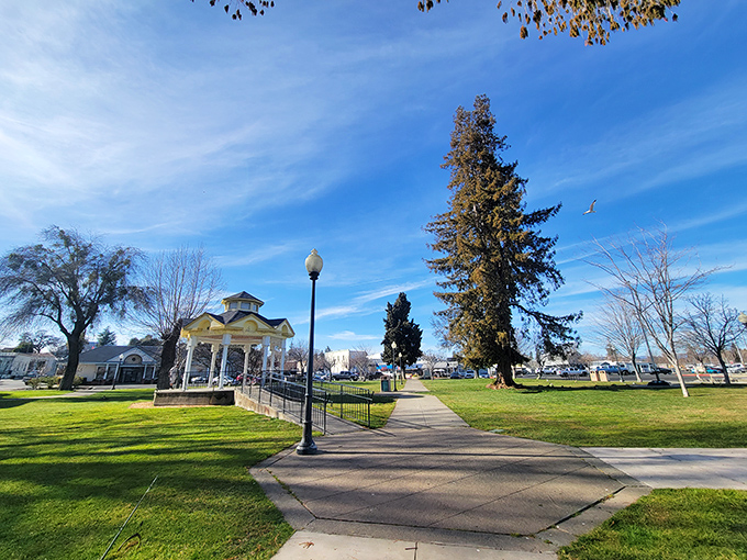 Library Park's gazebo isn't just pretty—it's the community's outdoor living room where summer concerts make everyone feel like they're in a small-town movie.