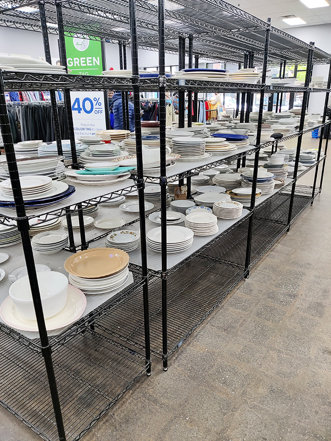 Dish heaven awaits! These stacked plates aren't just tableware—they're stories waiting to host your next dinner party drama.