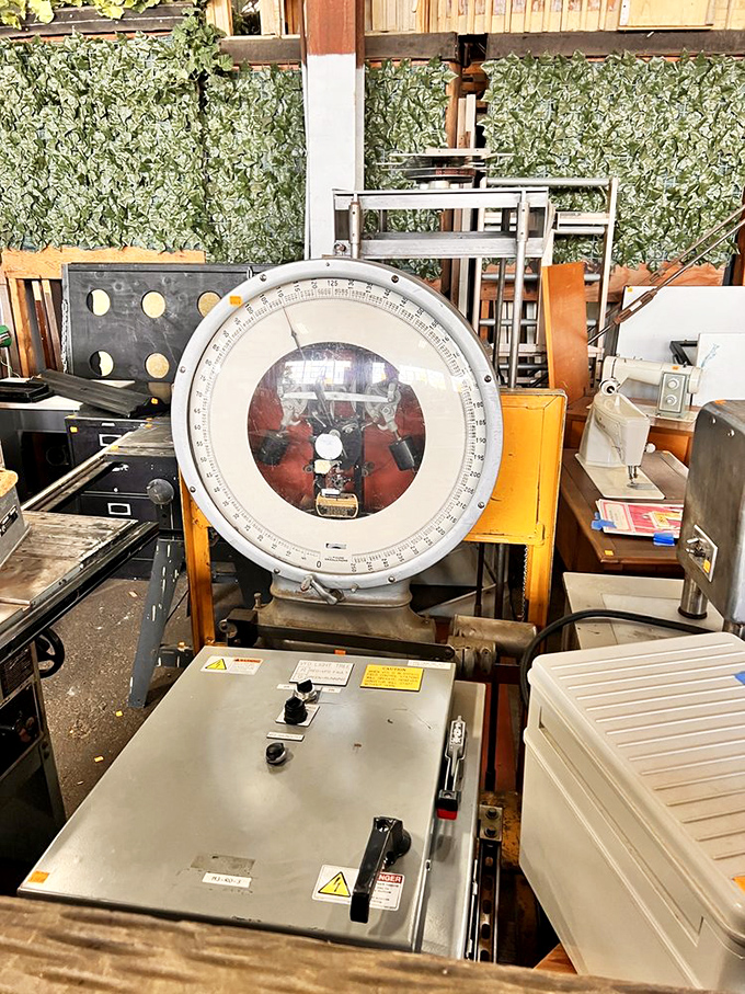 This vintage industrial scale isn't just measuring weight—it's weighing decades of history. Someone's former scientific equipment becomes another's conversation piece.