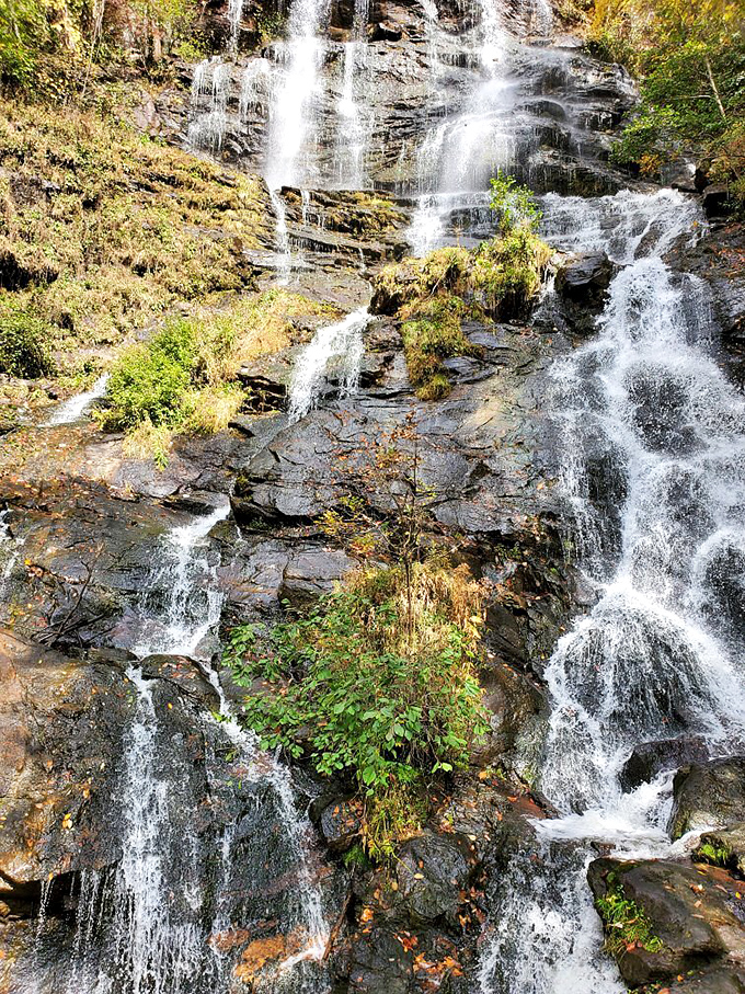 Amicalola Falls doesn't trickle – it thunders down 729 feet of Georgia mountainside like nature showing off.
