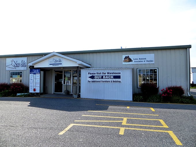 New Life's coastal location proves that great thrift finds aren't just for big city adventures.