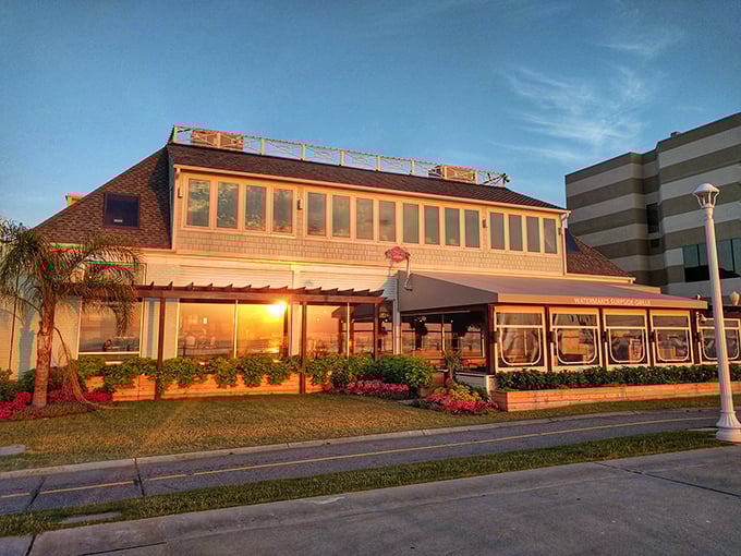 Waterman's golden-hour glow isn't just Instagram-worthy – it's the perfect backdrop for their legendary Orange Crush and seafood feasts.