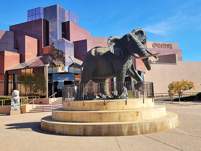 The Blackhawk's modern design is as sleek as the cars inside. That elephant seems to say, "You won't forget this place!"