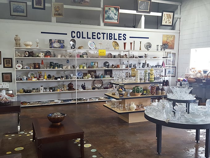 Treasure hunting heaven! These shelves of glassware and collectibles are just waiting for someone to take them home.