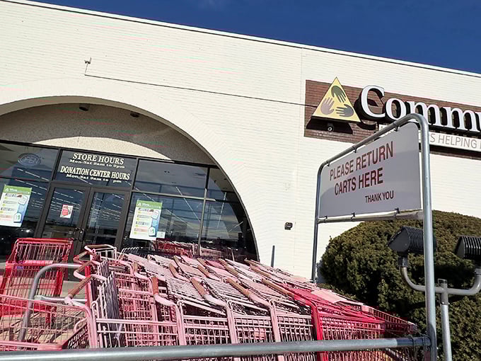 "Shopping cart battalion standing ready for duty. Community Aid's pink carts signal you're in for a serious thrifting expedition."