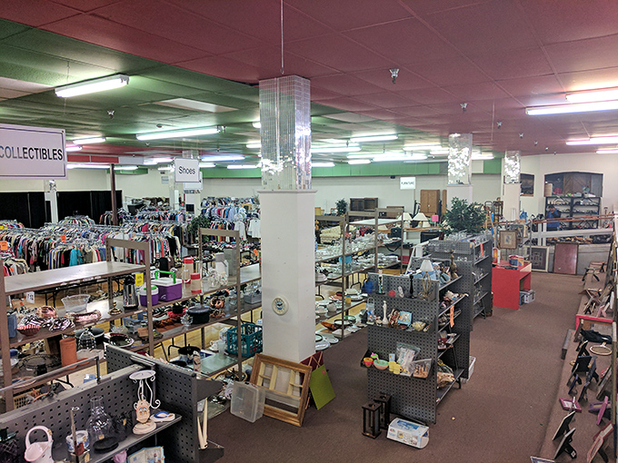 Inside this boutique-like space, treasures are displayed with care—making the hunt feel more like a curated adventure.