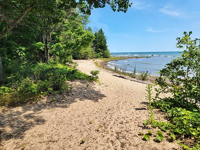 A hidden path leads to Negwegon's secluded beach—nature's version of the VIP entrance to Lake Huron's finest waterfront real estate.