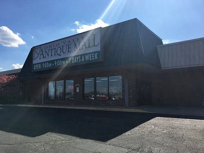 Sunlight gleams off this antique hunter's paradise—where the past is always present and surprisingly affordable!
