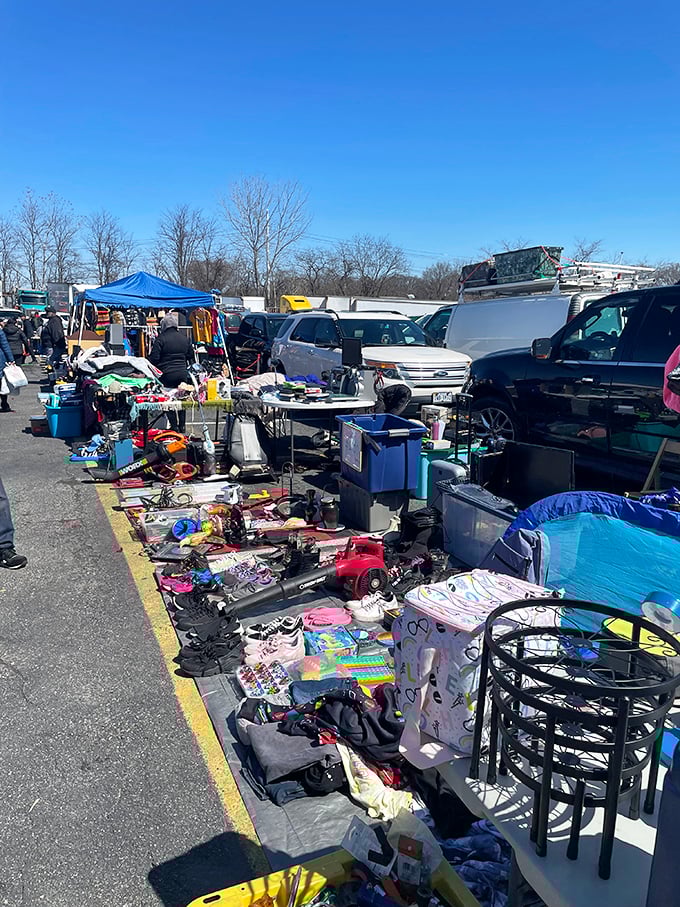 Outdoor market bustle where community spirit meets commerce under the open Maryland sky perfectly