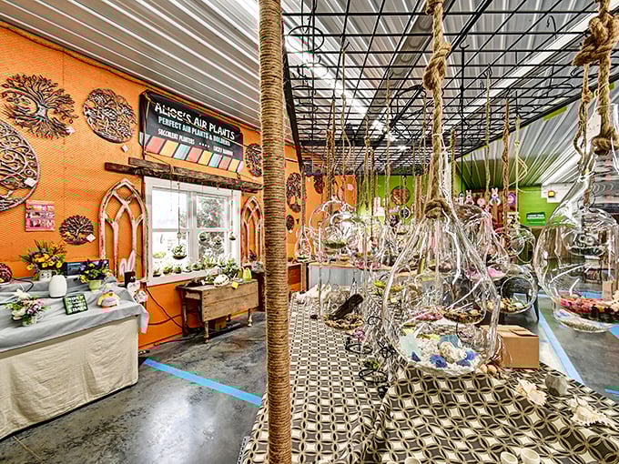 This air plant paradise looks like what would happen if Mother Nature and Martha Stewart collaborated on a home decor line.
