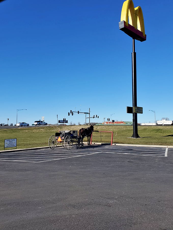 The ultimate "slow travel" experience – an Amish buggy parked at McDonald's creates a delightful juxtaposition of 19th-century transportation meeting 20th-century fast food.