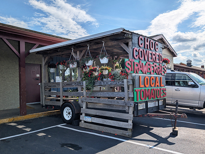 "Chocolate covered strawberries and local tomatoes" isn't just a sign—it's a siren song for anyone who appreciates the simple perfection of food that knows where it came from.