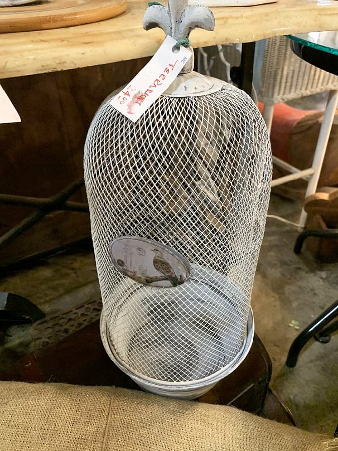 Not your average birdcage! This delicate wire dome once housed someone's feathered friend—now it's waiting for a second life in your garden room.