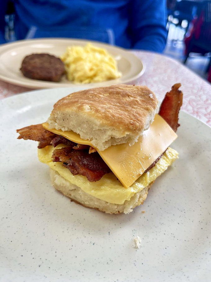 Architecture students should study this biscuit sandwich—the perfect structural integrity supporting layers of egg, bacon, and cheese in harmonious breakfast bliss.