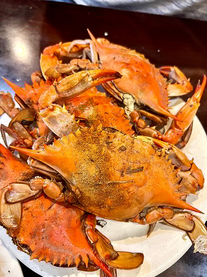 Maryland's famous blue crabs, seasoned and ready for battle with your appetite. The state's signature seafood never looks more tempting than when it's waiting on your plate.