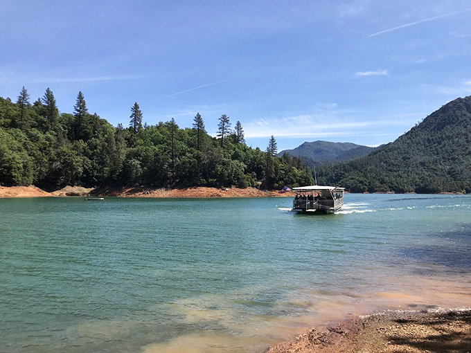 Your adventure begins with this scenic boat ride across Shasta Lake's emerald waters. Think of it as nature's version of a theme park water taxi—with better views.