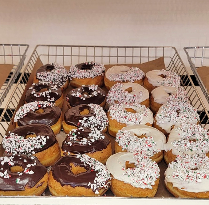 Heaven's waiting room looks exactly like this—rows of perfectly frosted donuts with festive sprinkles, each one practically whispering your name.