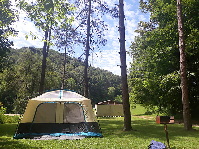 Camping here feels like you've discovered a secret clearing that nobody else knows about. The trees are practically your roommates.