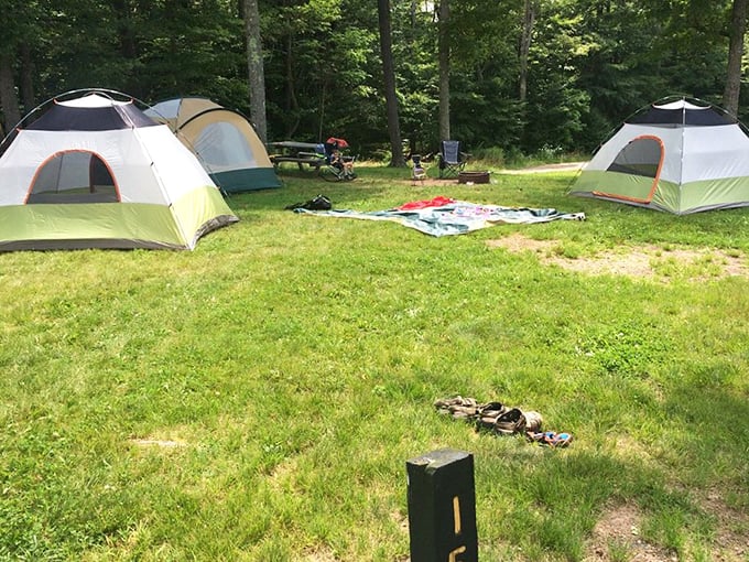 Camping under Coudersport's legendary dark skies. These tents aren't just accommodations – they're front-row seats to the greatest light show on Earth.