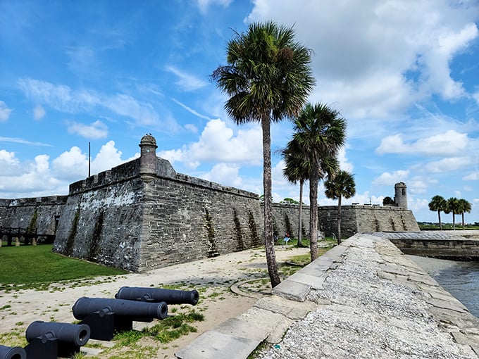 The imposing Castillo de San Marcos has stood guard since the 1600s, its coquina walls absorbing cannonballs and tourists' imaginations with equal resilience.