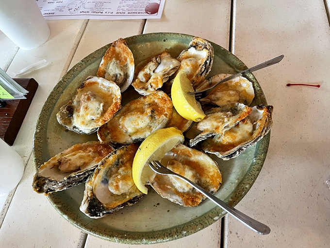 These chargrilled oysters aren't just cooked, they're transformed – a smoky, buttery revelation that might convert even the most hesitant shellfish skeptics.