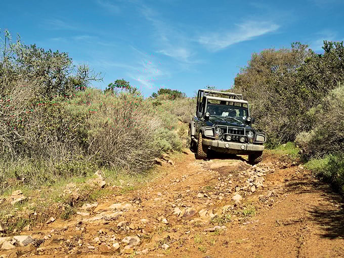 Exploring Catalina's rugged interior by Jeep feels like being in a nature documentary, minus the British narrator and with significantly more dust in your hair.