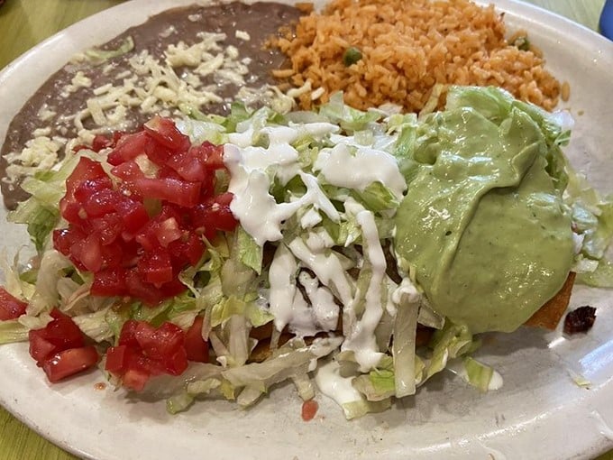 A plate that tells a story of balance – rice, beans, guacamole, and sour cream creating the perfect supporting cast for the main attraction.