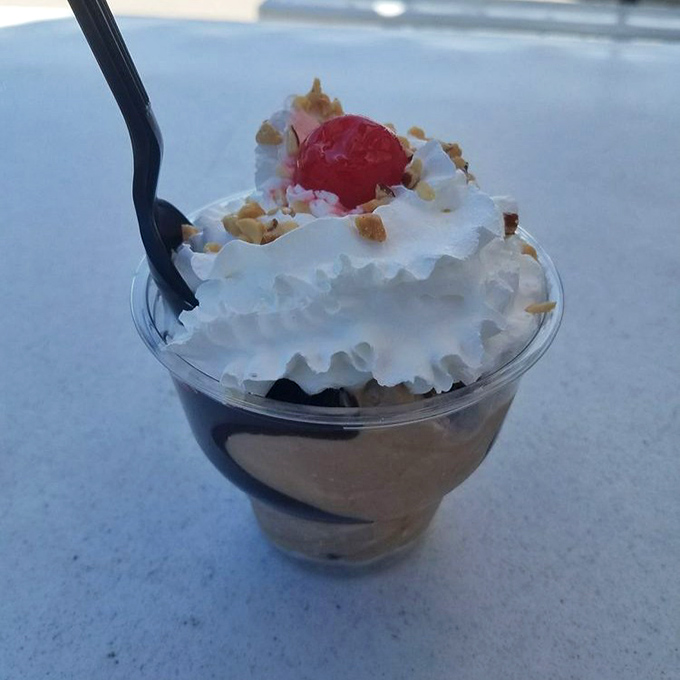A sundae that understands the assignment. Creamy custard topped with whipped cream, nuts, and a cherry—dessert architecture at its finest.